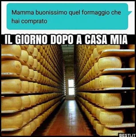Meme Trash Ita Foto Che Fanno Ridere Per Whatsapp 212502 Divertente