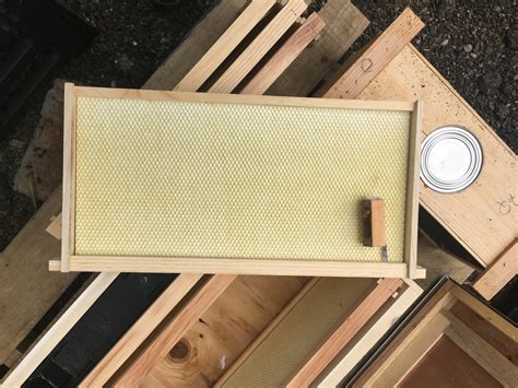 Adding Bees Into Your Beehive Harvest Lane Honey