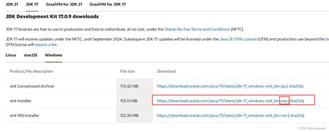 安装多版本jdk 自由切换java版本，包括jdk安装以及环境配置教程一条龙（win10、kali） openjdk安装 csdn博客