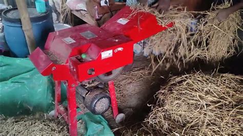 ২ মিনিটে চারটি গরু ও ৩০ টি ছাগলের জন্য খড় কাটলাম Youtube