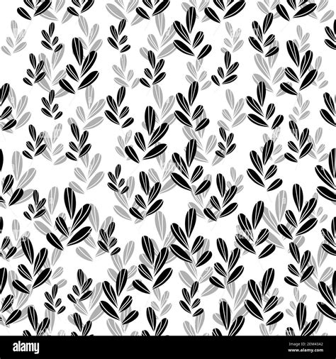Floral Seamless Pattern With Monochrome Exotic Leaves Modern