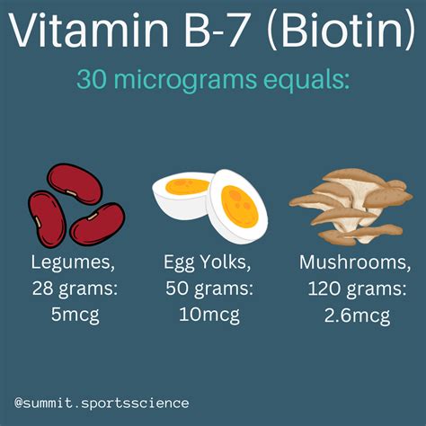 Vitamin B7 Main Function At Katherine Edmunds Blog