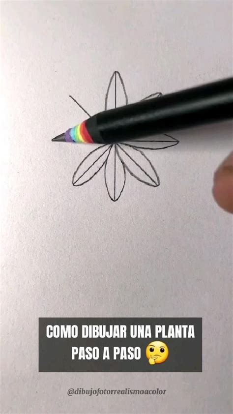 Como Dibujar Una Planta Paso A Paso Comodibujarplanta