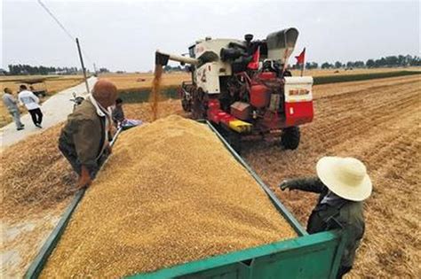 河南省7月2日启动2019年小麦最低收购价执行预案 新浪河南 新浪网