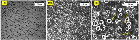 A Uniformity Of Graphite Nodules Before Etched B Graphite Nodule