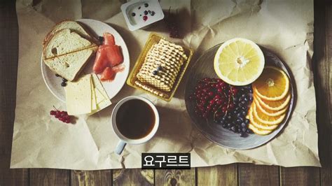 📌 프로바이오틱스 Vs 프리바이오틱스 장 건강 필수 영양소 총정리 유산균 발효식품 장내 미생물 Youtube