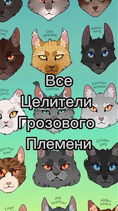 все целители грозового племени эдит коты воители Warriorcats Warriors котывоители коты эдит
