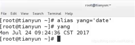 Linux Bash的基本 自动补全 快捷键 历史 命令的别名linux中自动补全是哪个健 Csdn博客
