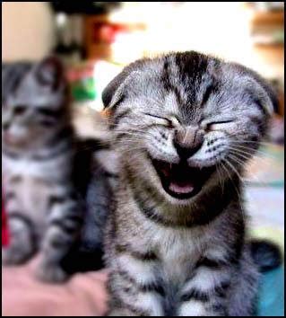 Now Its Time To Laugh