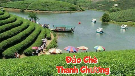 Về Thăm đồi Chè Thanh Chương Nghệ An Youtube