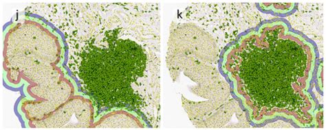 Tma Analysis With Strataquest