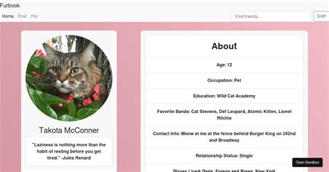Second React Js Mini Project Codesandbox