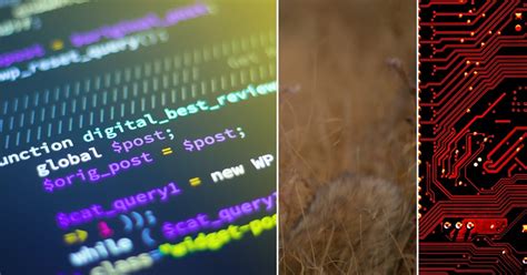 list python curated by oleschon medium