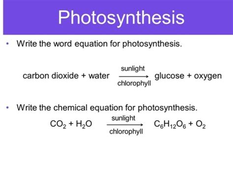 Photosynthesis Word Equation Photosynthesis Definition Reaction