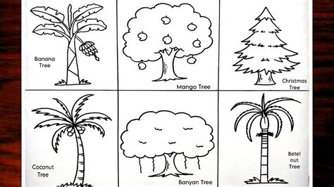 How To Draw Different Types Of Treesmango Treebanana Treecoconut