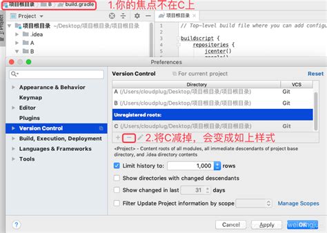 Intellij Idea 同一项目使用多个git管理多个分支（不同项目 多模块 Pull 更新 Push 推送 操作）idea 管理两个