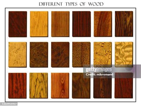 Acacia Lumber Photos And Premium High Res Pictures Getty Images