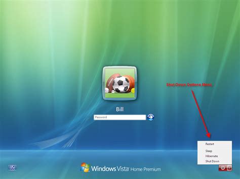 Venturing Into Vista
