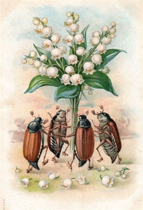 246914 Artist Needed Safe Arthropod Beetle Insect Semi Anthro