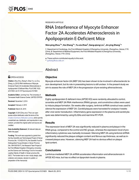 Pdf Rna Interference Of Myocyte Enhancer Factor 2a Accelerates