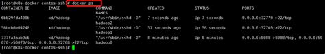 使用docker搭建hadoop集群伪分布式与完全分布式 Coder、 博客园