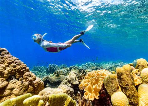 Solomon Islands Scuba Diving In 2025 — Dive Adventures
