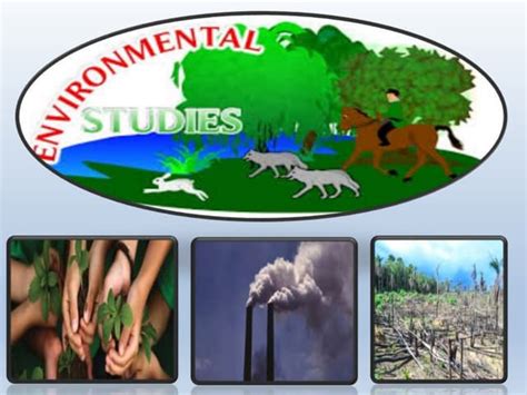 Environmental Problems Docx