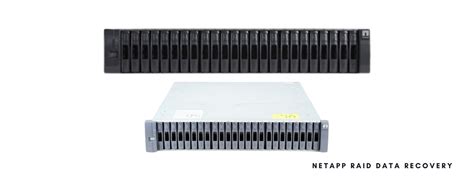 Netapp Raid Data Recovery With Werecoverdata