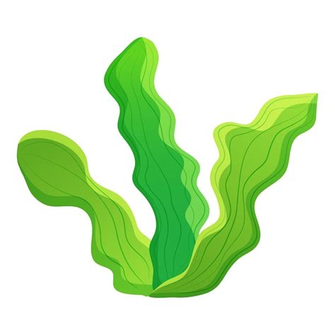 Algin Vectors And Illustrations For Free Download Freepik