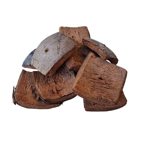 Coconut Husk Chunks 10pk Queenslander Aviaries