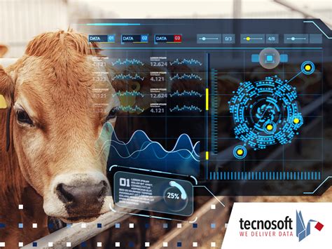 Hay Water And Data Loggers Tecnosoft