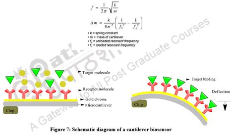 Biosensors An Introduction Environmental Microbiology And Biotechnology