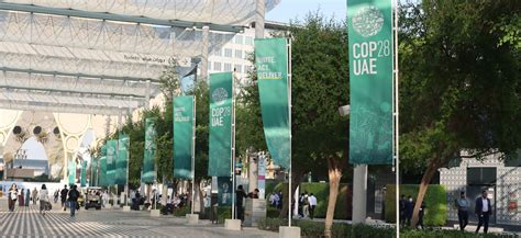 Cop28 Fossil Fuel Lobbyists Dominate Summit