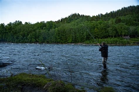 Our Salmon Hooks Ahrex Hooks
