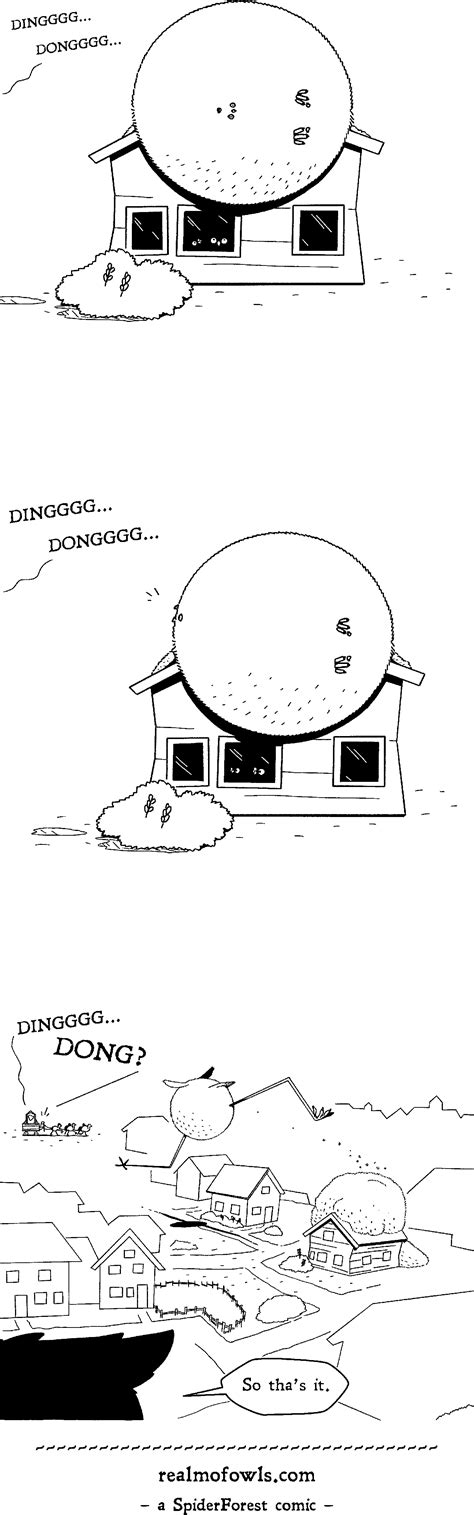 Chicky And The Bell Realm Of Owls A Funny Owl Webcomic