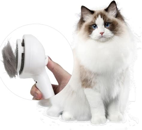 Susu And Wuwu Spray Cat Brush For Shedding Water Brush For