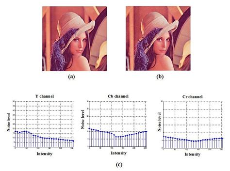Lena Image A Original Image B Noisy Image C Synthetic Noise Model Download
