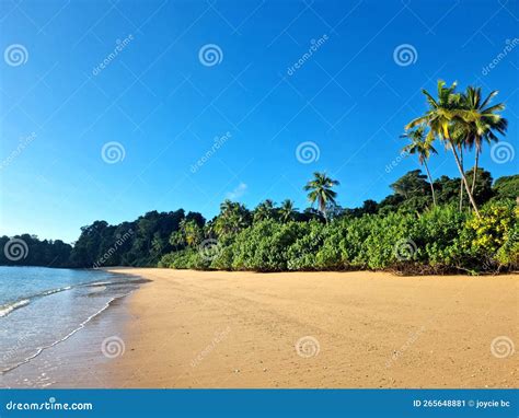Playas Tropicales De Coiba Palmeras Sol Y Aguas Cristalinas
