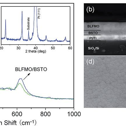 XPS Analysis Of The BFO BSTO Fi Lm Surface A Wide Scan Spectrum B