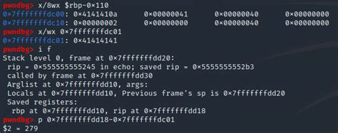 Echo Pwn Medium Hard Krloer S Ctf Site
