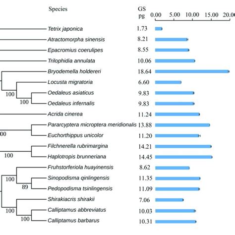 phylogenetic trees of tested species phylogeny introduced the