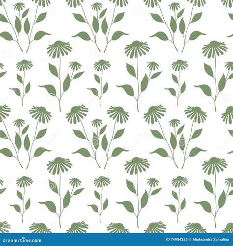 Echinacea Silhouette Vector Flat Simple Identification Symbol Clipart