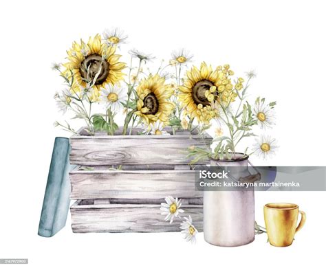 흰색 꽃 카모마일과 해바라기의 수채화 꽃다발 흰색 회색 나무 상자 금속에 있는 목초지 꽃은 우유를 위해 할 수 있다 파란 책과 노란 컵 배경에 고립 된 손으로 그린 그림