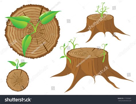 Tree Stump Green Plant Shoot Vector Stock Vector Royalty Free 117292681 Shutterstock