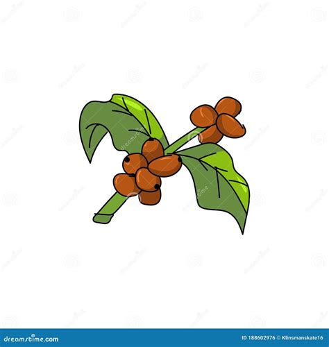 Diseño De Ilustración De Vector De Café De Semillas De Mano Stock de