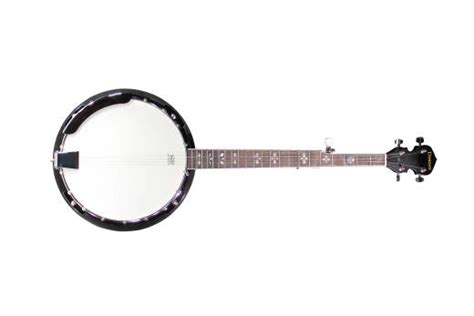 Denver 5 String Closed Back Banjo Long And Mcquade