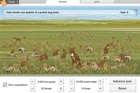 Exploring The Dynamics Of A Prairie Ecosystem