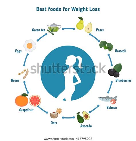 Infographic Presentation Best Foods Weight Loss Stock Vector Royalty