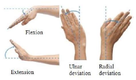 Figure 1 From Enhancing Classification Accuracy Of Wrist Movement By