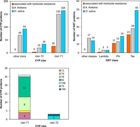 Amino Acid Specific Chromatography Plos One